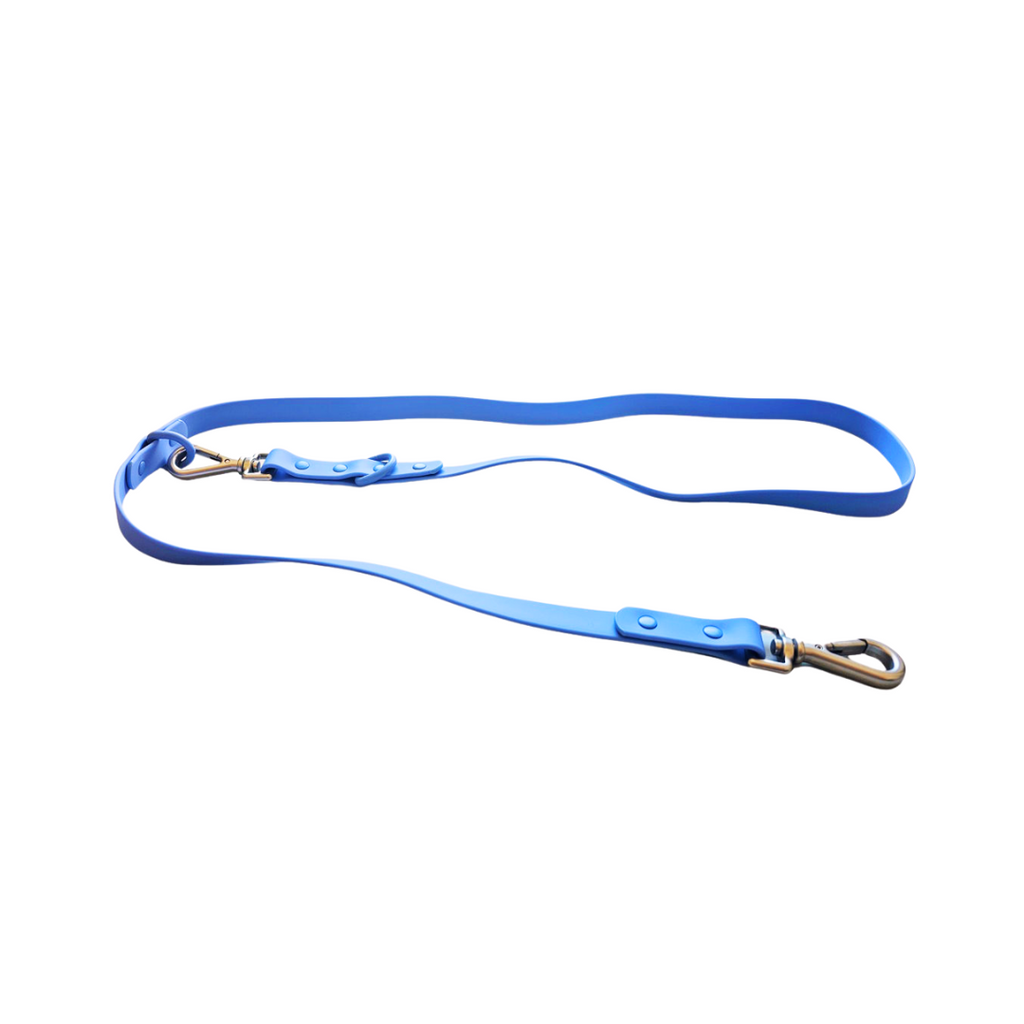 Correa agua multiposición perro en Azul – SR. MARQUÉS