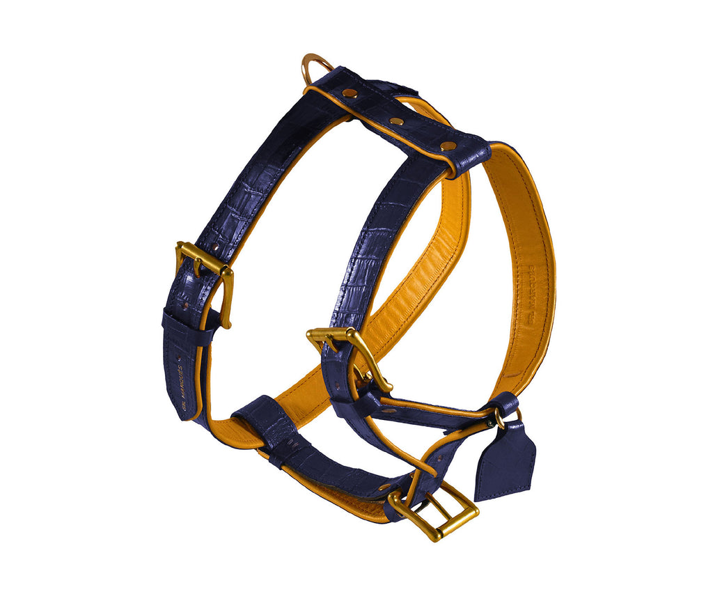 Lujoso arnés en H de piel para perro – SR. MARQUÉS