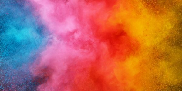 ¿Qué significa el color del collar de tu perro? – SR. MARQUÉS