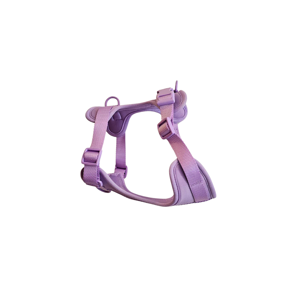 Arnés impermeable para perro Violeta – SR. MARQUÉS